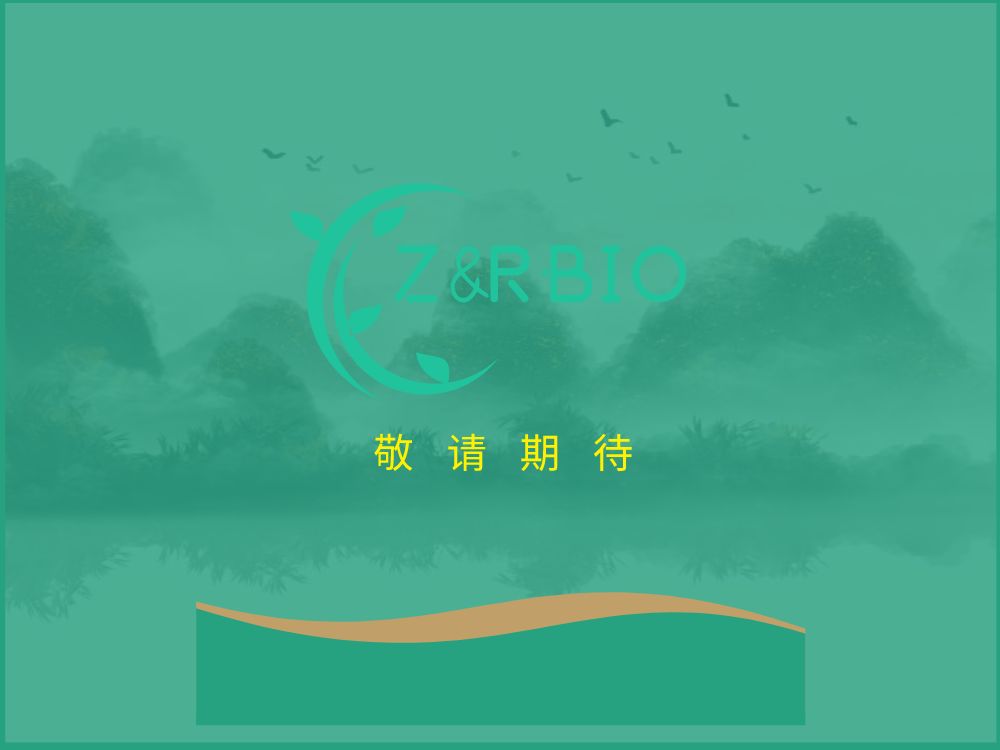 梓苒生物(Z&R•BIO)-关注医药研发，探索生物密码