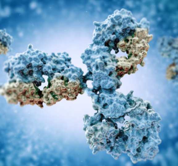 梓苒生物(Z&R•BIO)-关注医药研发，探索生物密码